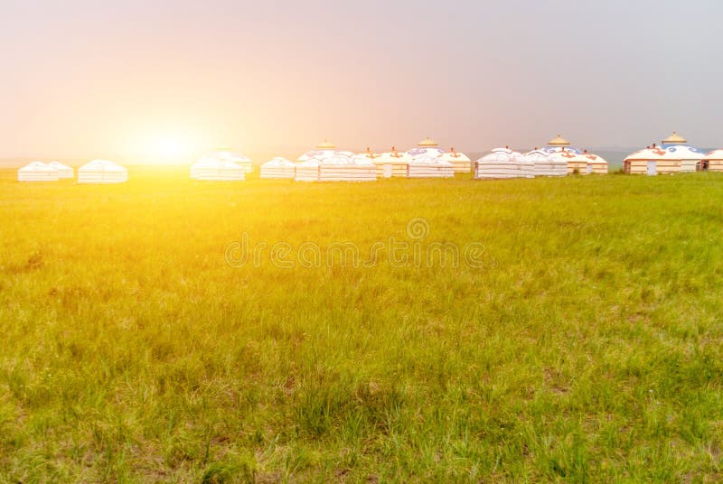 Tents in a green field stock photo. Image of countryside - 267598006