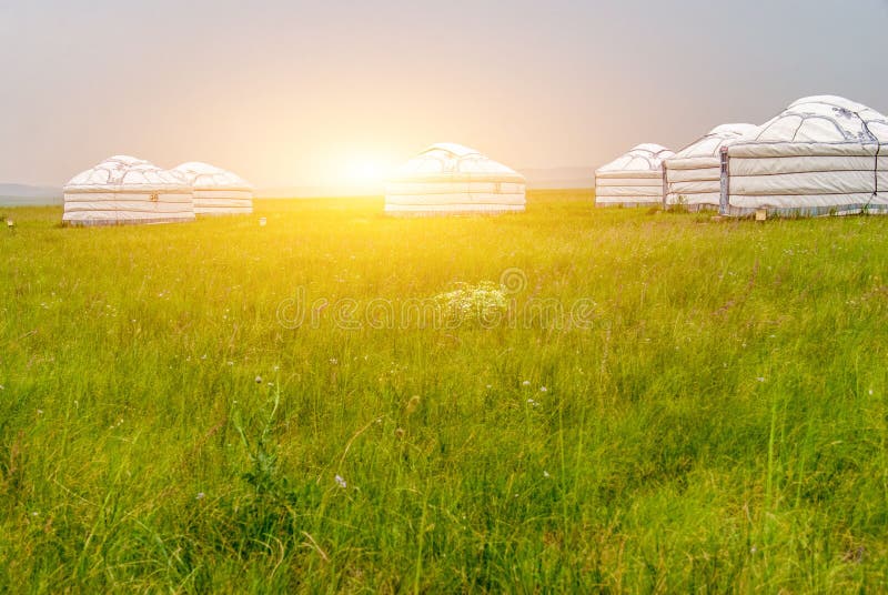 Tents in a green field stock image. Image of nature - 267598013