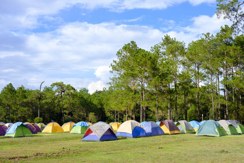 Tents on Green Grass at Camping Site Stock Image - Image of rural ...