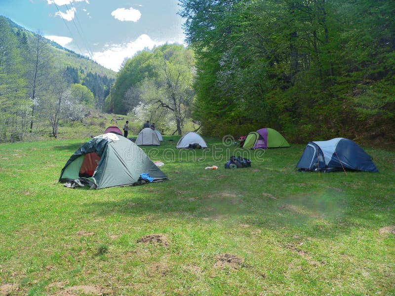 Tents on the Meadow. Camping in the Wild Stock Image - Image of meadow ...