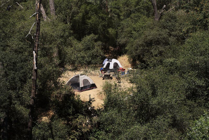 Tents Set Up at Camp Site Amid Trees Stock Photo - Image of trees ...