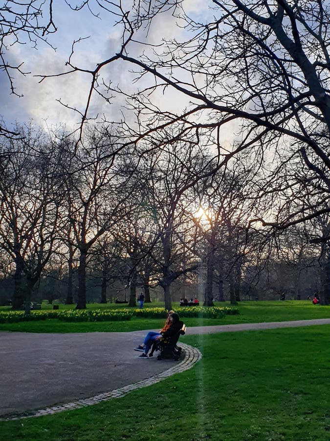 Two relaxing on the banch stock photo. Image of nature - 286352188