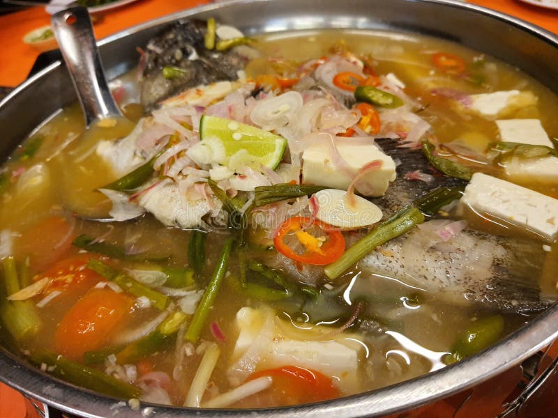 405 Fish Chew Stock Photos - Free & Royalty-Free Stock Photos from ...