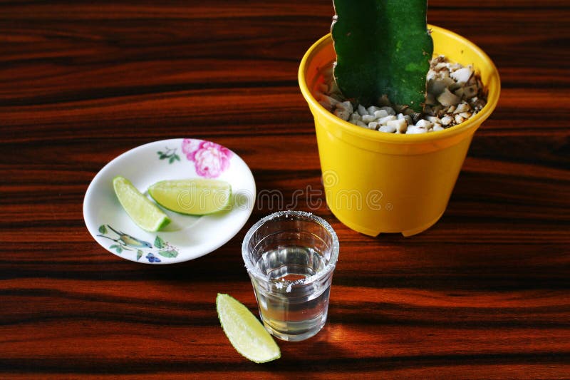 Tequila and Cactus. Shot of Typical Drink of Mexico. Lime. Lemon Stock ...