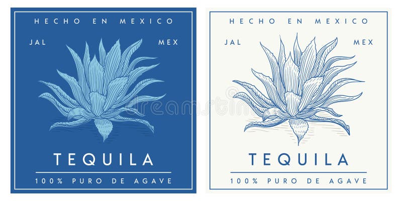 Tequila Label Template Modern Simple Clean Stock Vector - Illustration ...