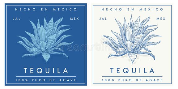 Tequila Label Template Modern Simple Clean Stock Vector - Illustration ...