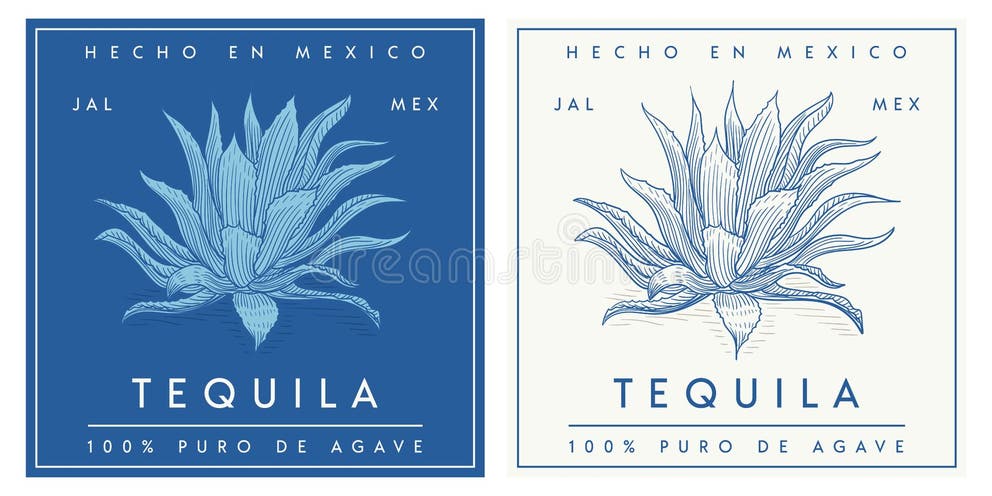 Tequila Label Template Modern Simple Clean Stock Vector - Illustration ...
