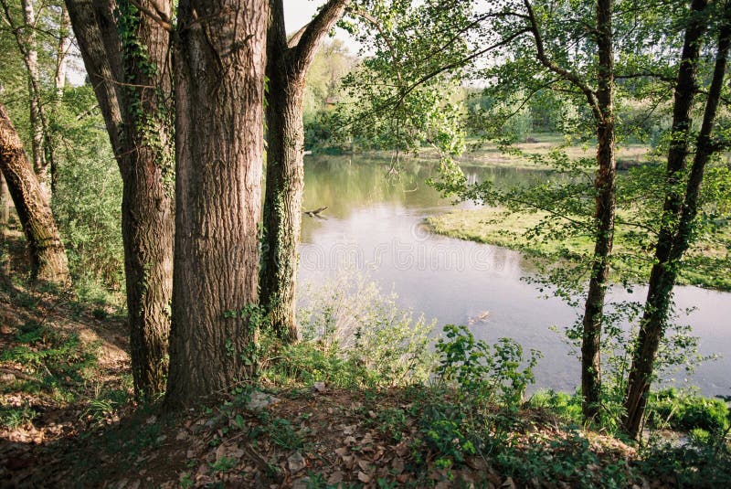 The Ter river stock image. Image of flow, riverine, europe - 277628219