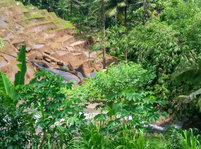 Terasering stock image. Image of green, mountain, area - 139618709