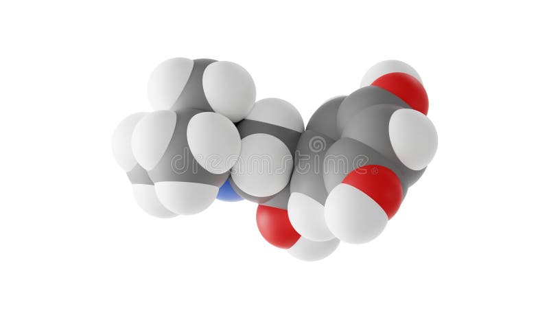 Terbutaline Molecule, Bricanyl, Molecular Structure, Isolated 3d Model ...