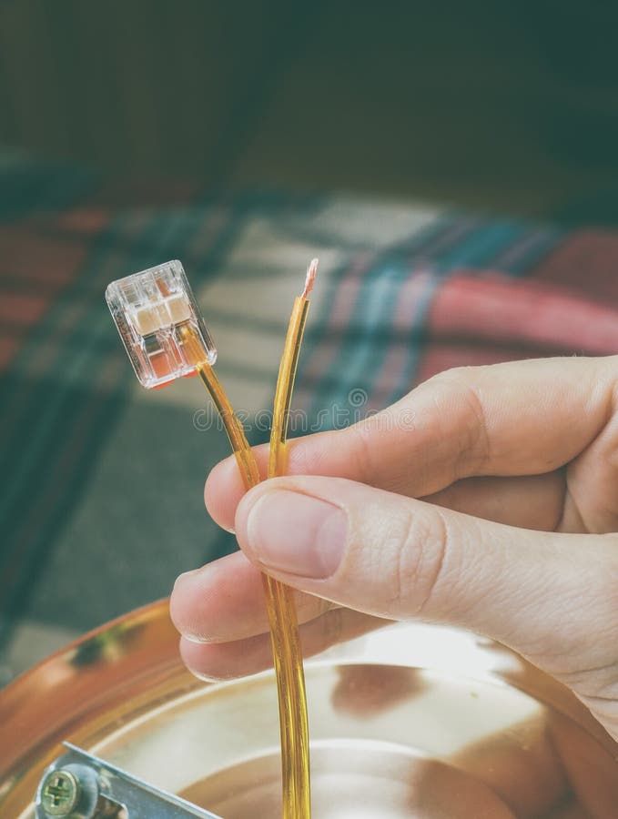 Terminals for Connecting Wires. Electrical Connector Stock Image ...