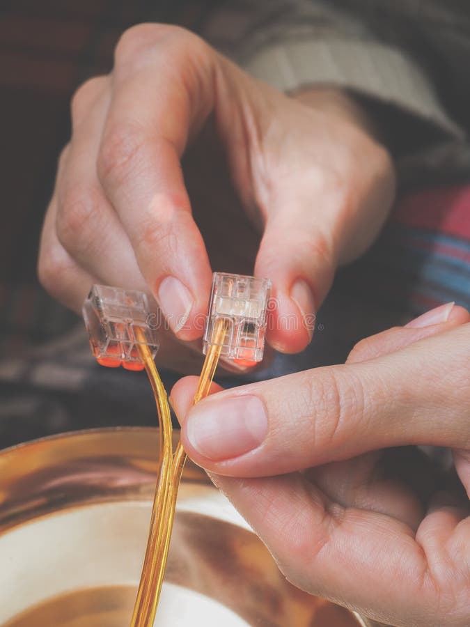 Terminals for Connecting Wires. Electrical Connector Stock Image ...