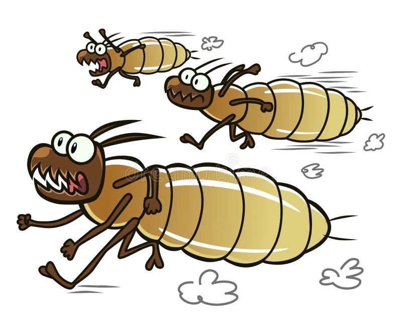 Termitas De Dibujos Animados Aisladas De Fondo Blanco Ilustración del ...