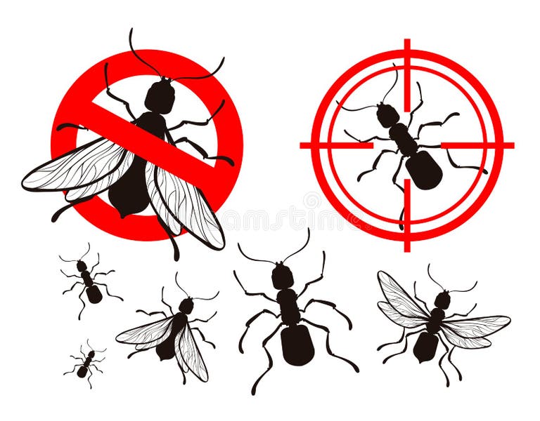 Termite, Ant. Pest Control Icons Set. Vector Illustration Stock Vector ...