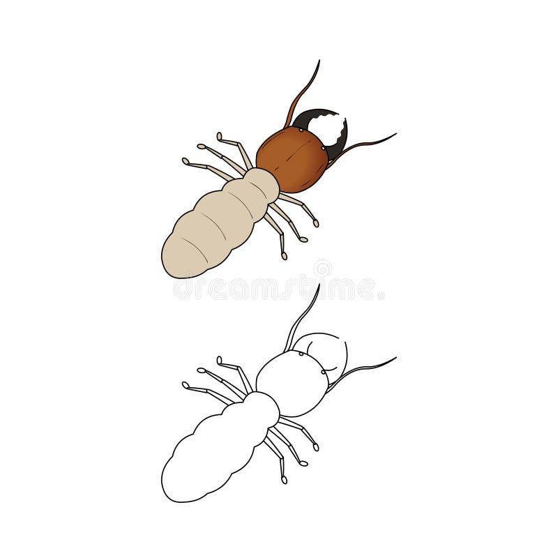 Outline Termite Stock Illustrations – 751 Outline Termite Stock ...