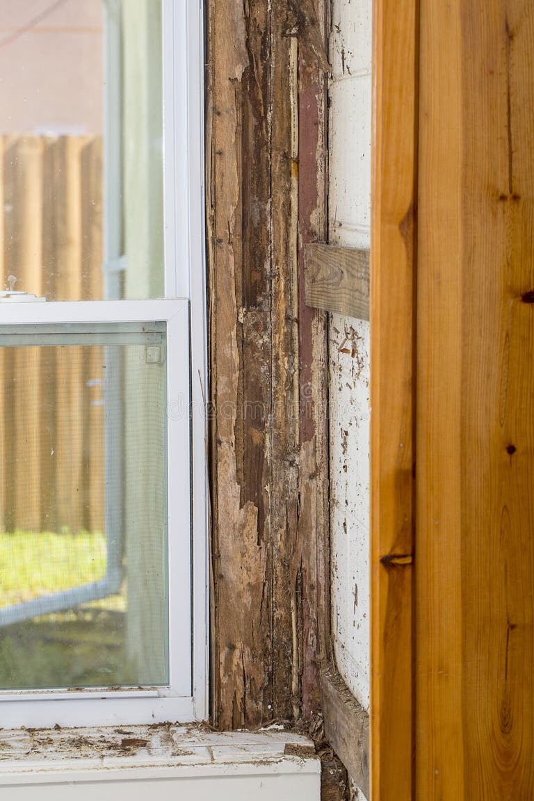 3,783 Termite Damage Stock Photos - Free & Royalty-Free Stock Photos ...