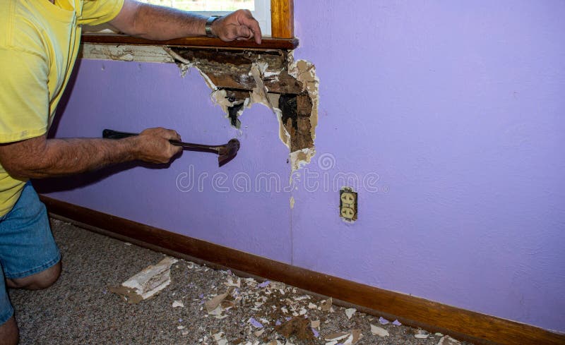 Termite Damage Repair Work in Progress Stock Image - Image of ...