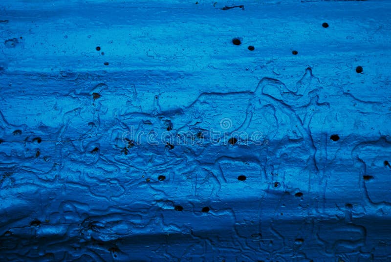 Termite Damaged Wood is Painted Blue. Texture Stock Image - Image of ...