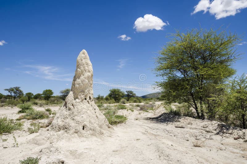 Termite hill stock image. Image of anthill, africa, african - 70138437