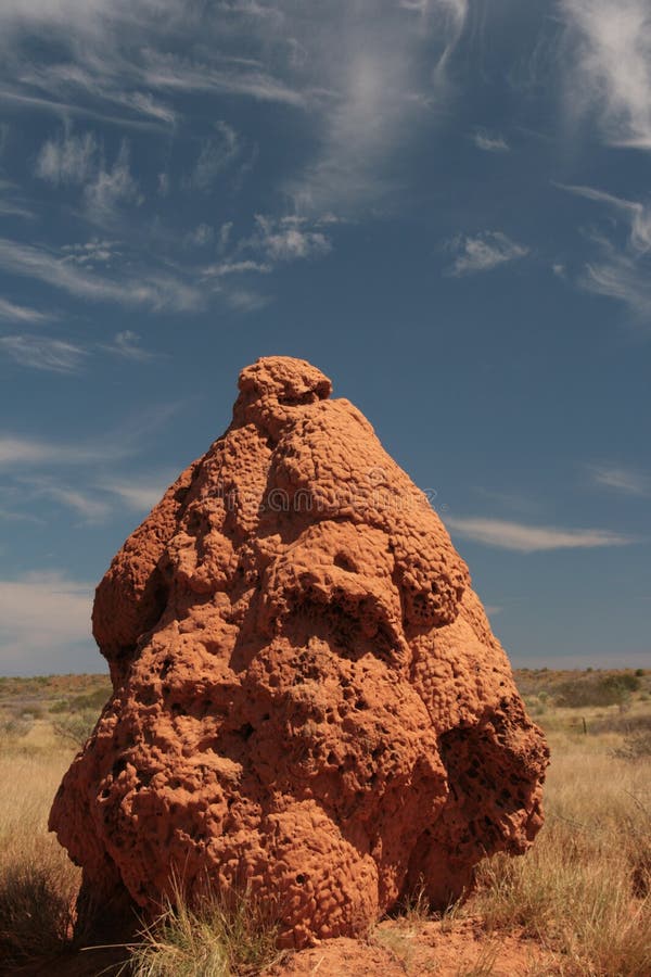 Termite hill stock photo. Image of termites, wood, cloud - 67976384