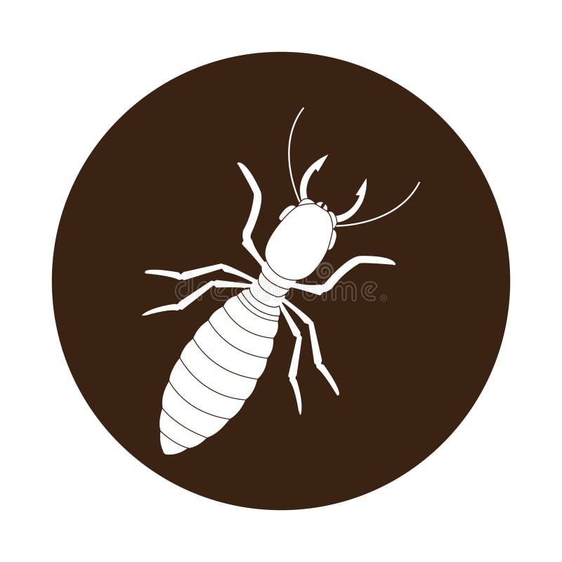 Termite icon stock illustration. Illustration of animal - 309571158