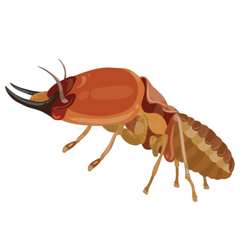 Funny Termite Cartoon Stock Illustrations – 228 Funny Termite Cartoon ...