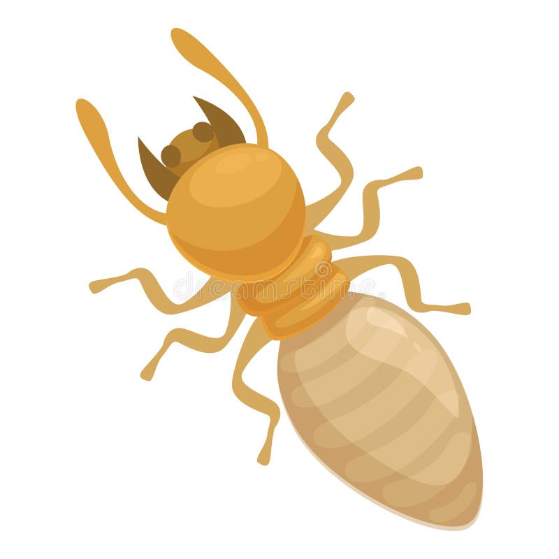 Termite Illustration Isolated on a White Background Stock Vector ...