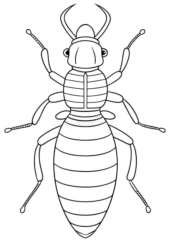 Termite Insect Drawing for Classroom Bug Study and Coloring Activities ...