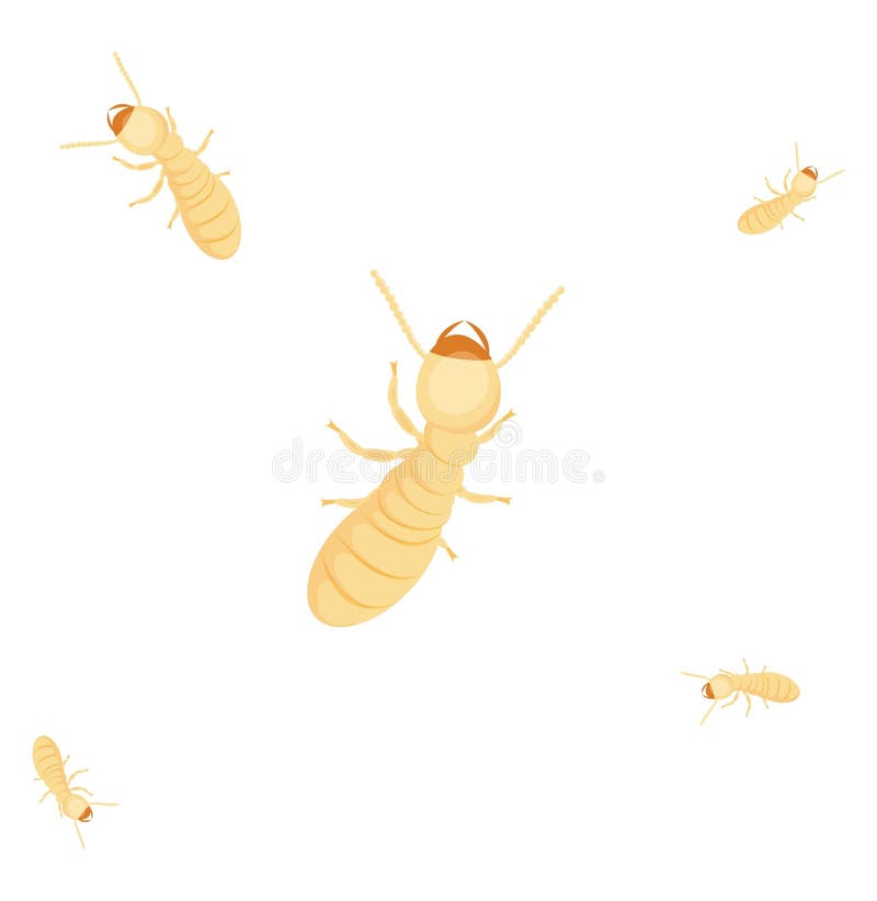 Termite insect, icon stock vector. Illustration of worker - 261378995