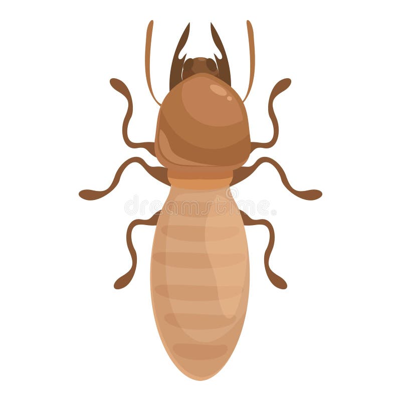 Cartoon Termite Stock Illustrations – 1,581 Cartoon Termite Stock ...