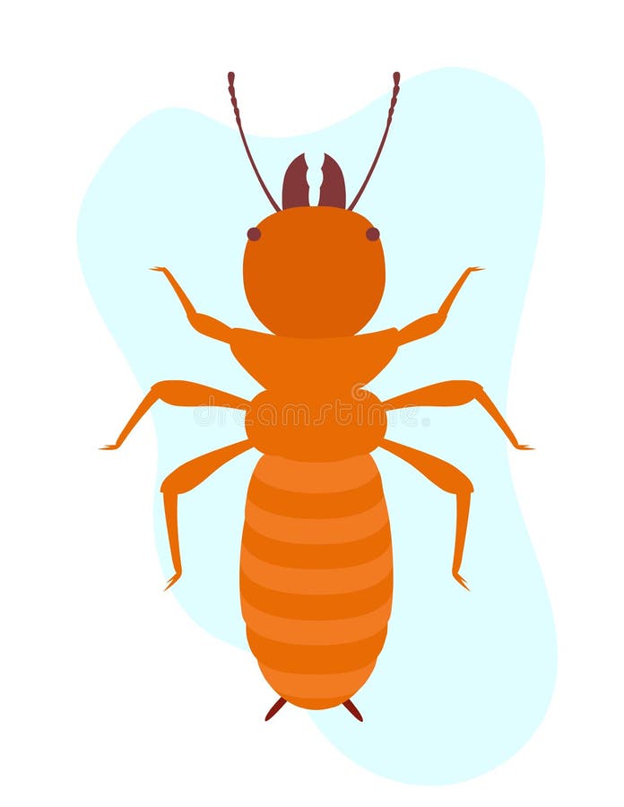 Creepy Termite Insect stock vector. Illustration of danger - 94292282