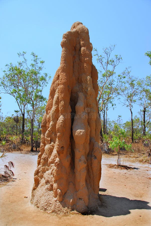 Termite mounds stock image. Image of sparse, sculptured - 22677431