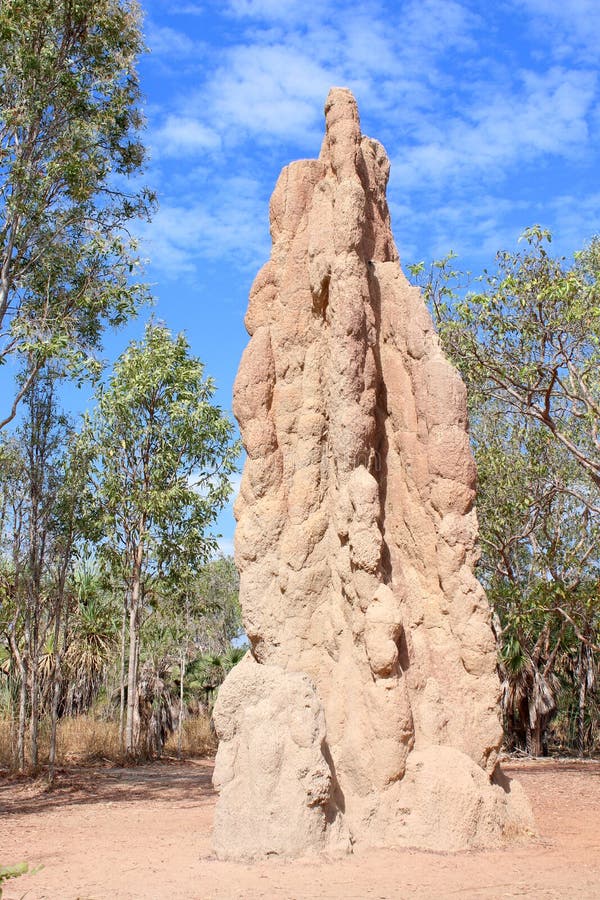 Termite Mound stock photo. Image of unique, termitemound - 58237014