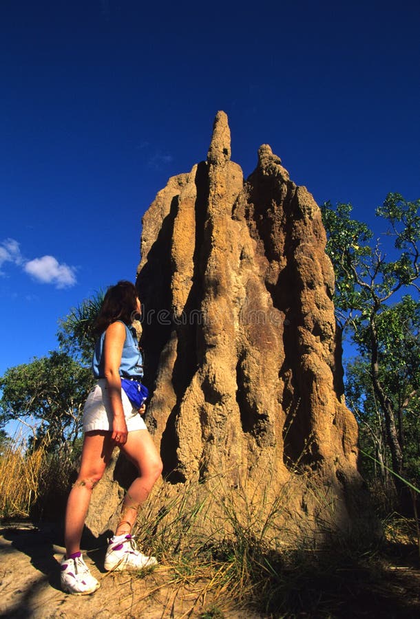 Dripstone Cliffs, Casuarina Beach, Darwin Stock Image - Image of rock ...