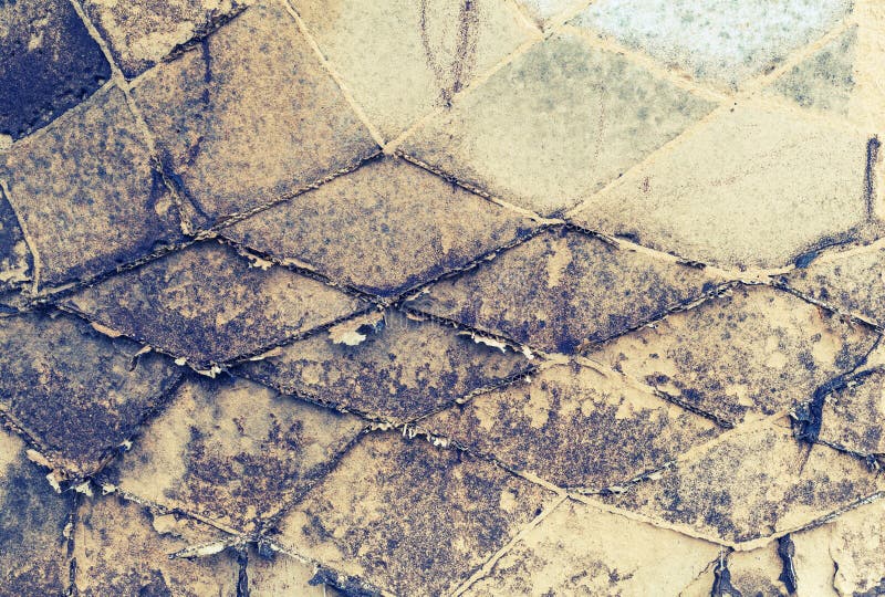Termite Nest on a Sheet of Paper Stock Photo - Image of nests ...