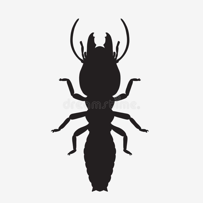 Graphic Termite Stock Illustrations – 1,240 Graphic Termite Stock ...