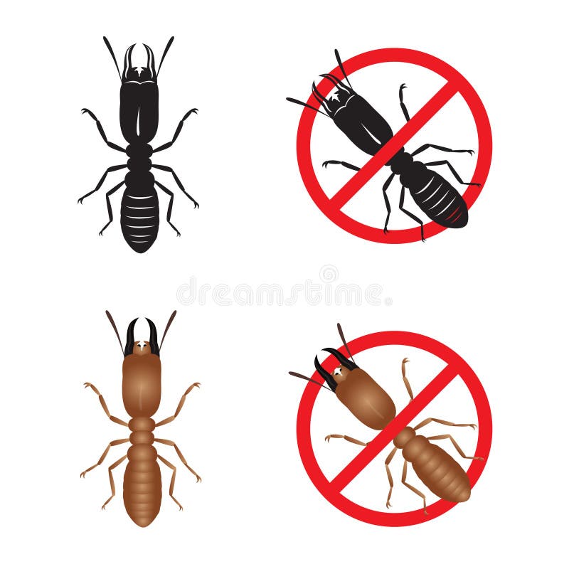 Termite and Stop Termite Sign Symbols Vector Design Stock Vector ...