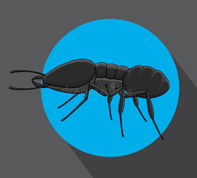 Creepy Termite Insect stock vector. Illustration of danger - 94292282