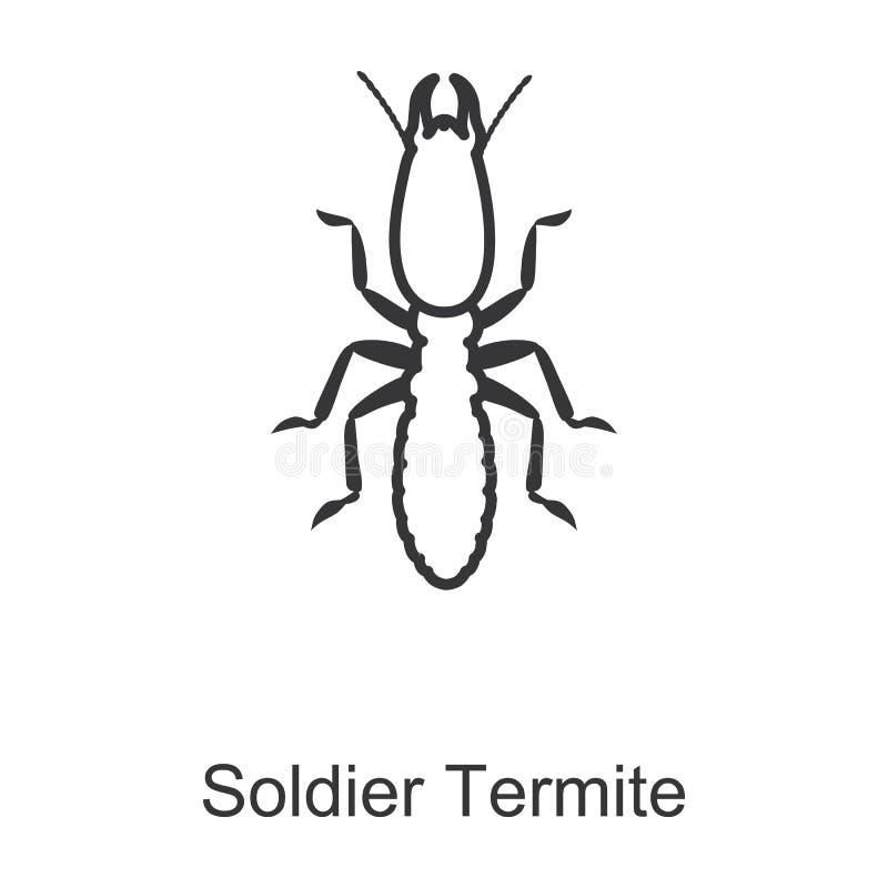Termite Stock Illustrations – 2,048 Termite Stock Illustrations ...
