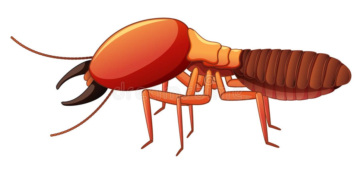 Termite Clipart Stock Illustrations – 481 Termite Clipart Stock ...