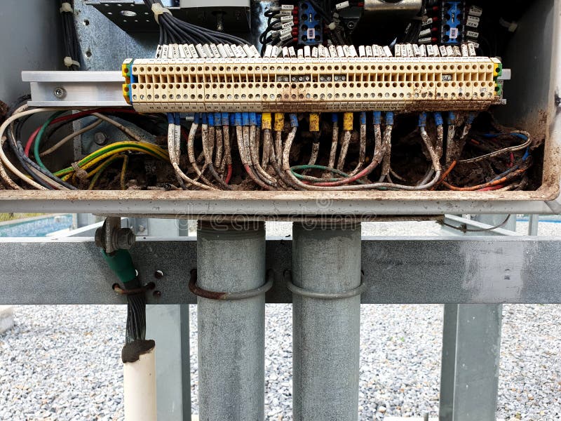 Termites Build Mounds Inside of 115kV Disconnector Switch Electrical ... Termites Build Mounds Inside of 115kV Disconnector Switch Electrical ...