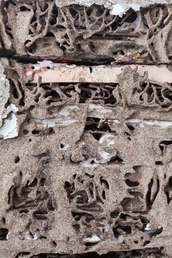 Termites Feed on a Pile of Books in the House. Stock Photo - Image of ...