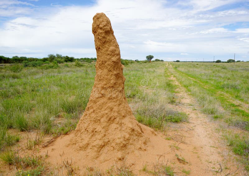Termitoria in African Landscape Stock Image - Image of antheap, africa ...