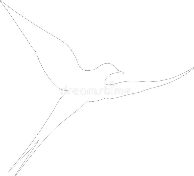 Tern Outline Silhouette Generative Ai Stock Vector - Illustration of ...