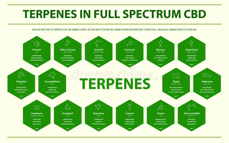 Terpenes in Full Spectrum CBD with Structural Formulas Horizontal ...