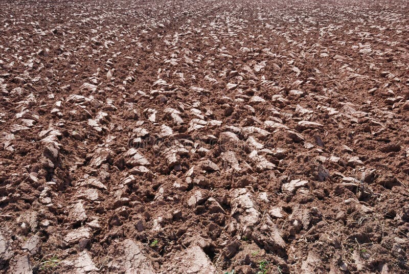 Terreno arato fotografia stock. Immagine di fango, modello - 8846440