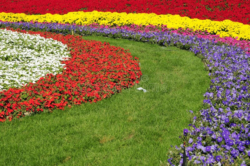 Terra colorida com flor foto de stock. Imagem de floresta - 16348176