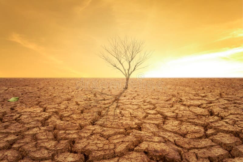 Seca, terra seca imagem de stock. Imagem de agricultura - 15080547