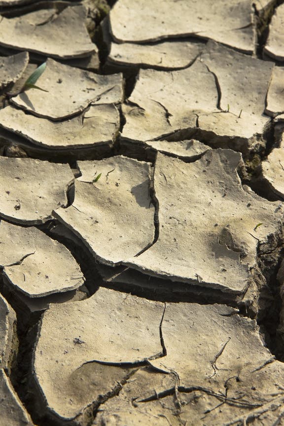 Terra Infértil Queimada Pelo Sol Foto de Stock - Imagem de alimento, agricultura: 133337036