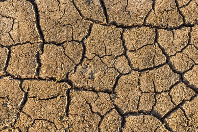 Terra rachada seca imagem de stock. Imagem de agricultura - 89567721